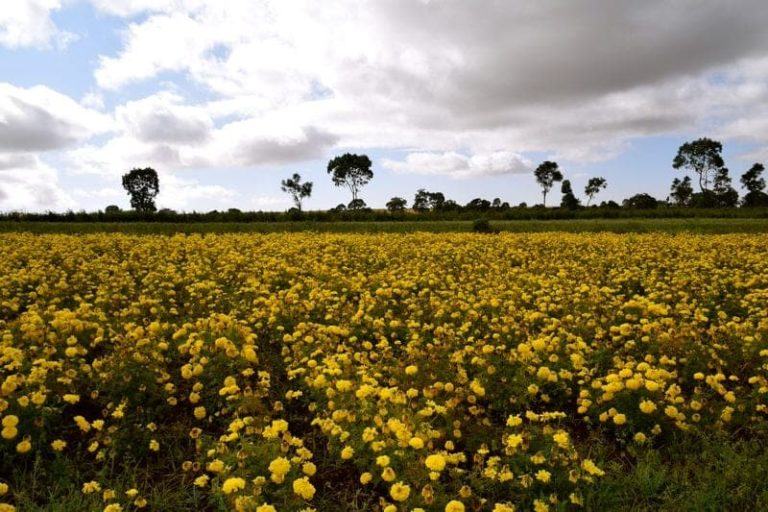 A Guide to Karatu: Top 10 Things to Do in Karatu Tanzania