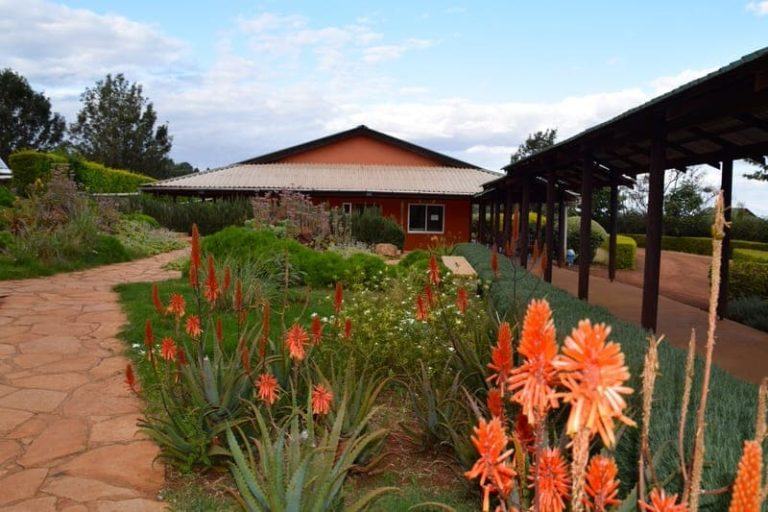 A Guide to Karatu: Top 10 Things to Do in Karatu Tanzania