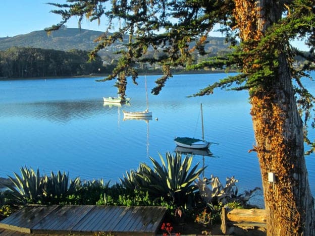 Visiting Los Osos California - Independent Travel Cats
