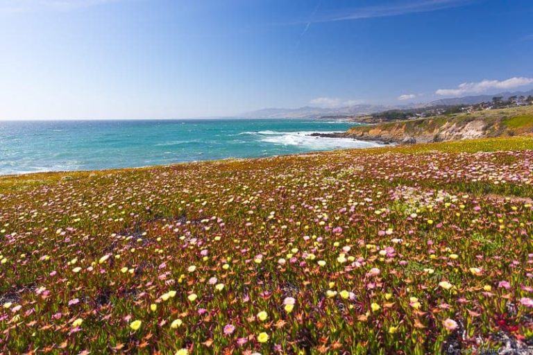 Cambria California: A Guide to Visiting This Central Coast Gem ...