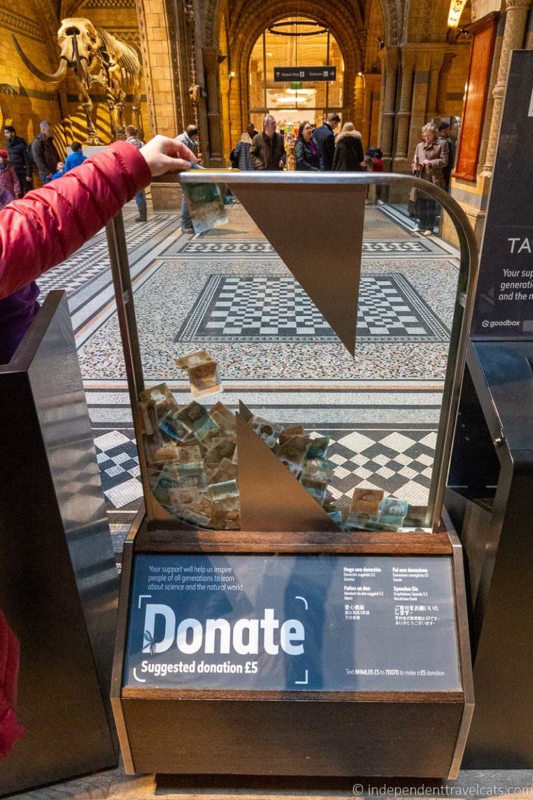 How Museums are Funded & Importance of Museum Visitor Donations